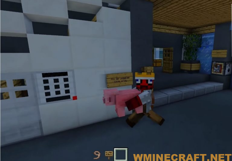 Carry On Mod 1.16.5/1.15.2/1.14.4 - Pick up blocks and carry them easily