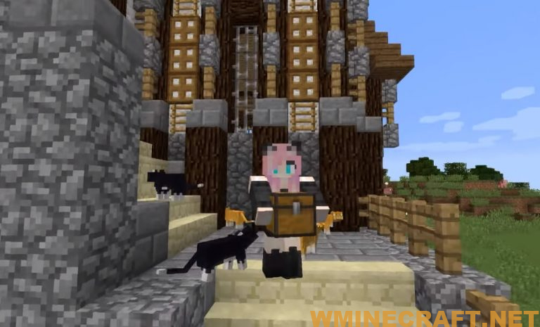 Carry On Mod 1.16.5/1.15.2/1.14.4 - Pick up blocks and carry them easily