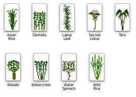 Plant Mega Pack Mod 1.12.2 for Minecraft - Theme of plants - Wminecraft.net