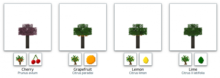 Plant Mega Pack Mod 1.12.2 for Minecraft – Theme of plants - Wminecraft.net