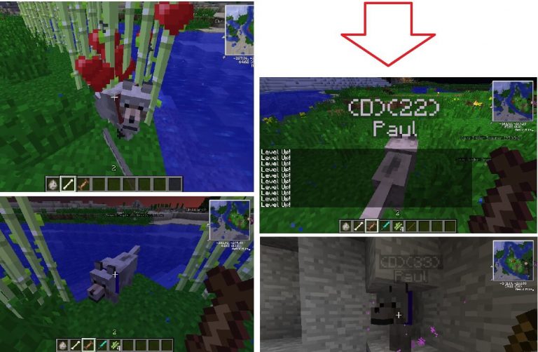 Doggy Talents Mod 1.18.1, 1.17.1 Adds New Abilities for Wolves/Dogs in ...