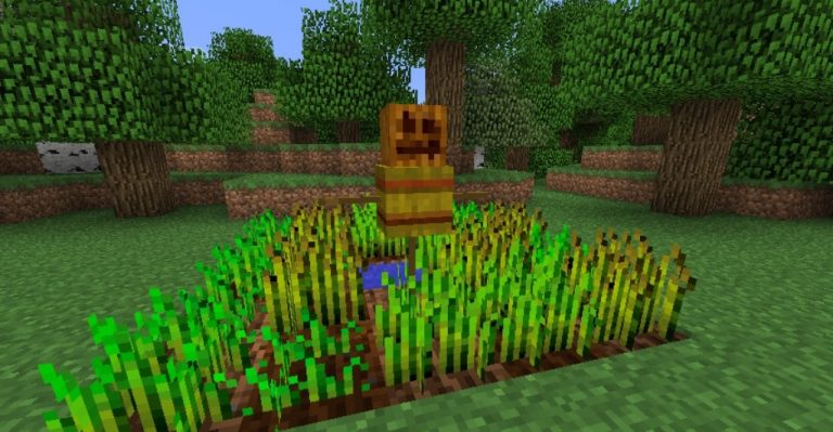 Rediscovered Mod 1.16.5/1.15.2 the place to help you be more confident ...