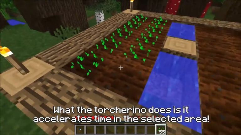 Download Torcherino Mod for Minecraft 1.16.4/1.15.2