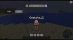 More Player Models Mod 1.16.5, 1.12.2: Customize Your Character In ...