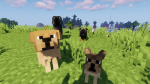 Better Dog Resource Pack 1.19.2, 1.18.2 – Cute Dogs in Minecraft ...