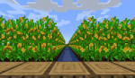 Corn Delight Mod 1.18.1 Adds Corn and Delicious Foods About Corn ...