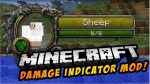 Damage Indicators Mod 1.16.5,1.15.2, and 1.12.2 - Status of mob