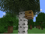 How to Move a Beehive in Minecraft (and its Bees) - Wminecraft.net