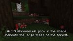 Biome Makeover Mod Adds Mystique and Aesthetics to Mushroom Biomes ...