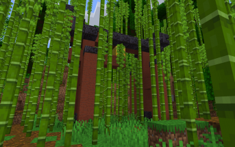 Introducing the Cherry Blossom Grotto Mod for Minecraft 1.19.3-1.16.5 - Wminecraft.net